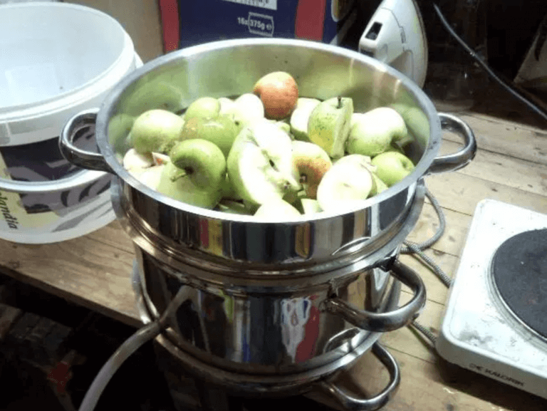 8 Simpele Stappen voor Snel Zelf Appelsap Maken (Heerlijk!)
